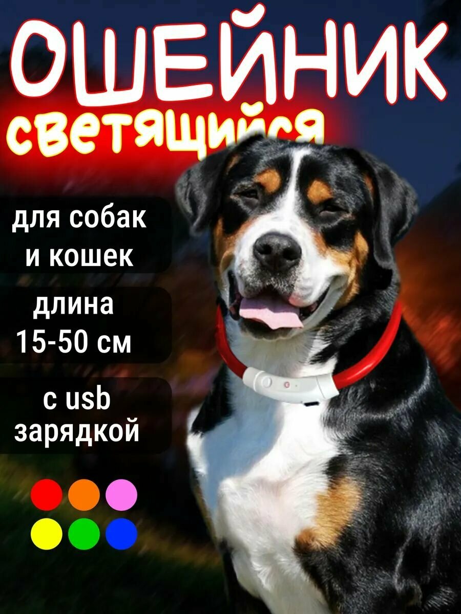 Светящийся красный светодиодный неоновый ошейник для собак и кошек USB