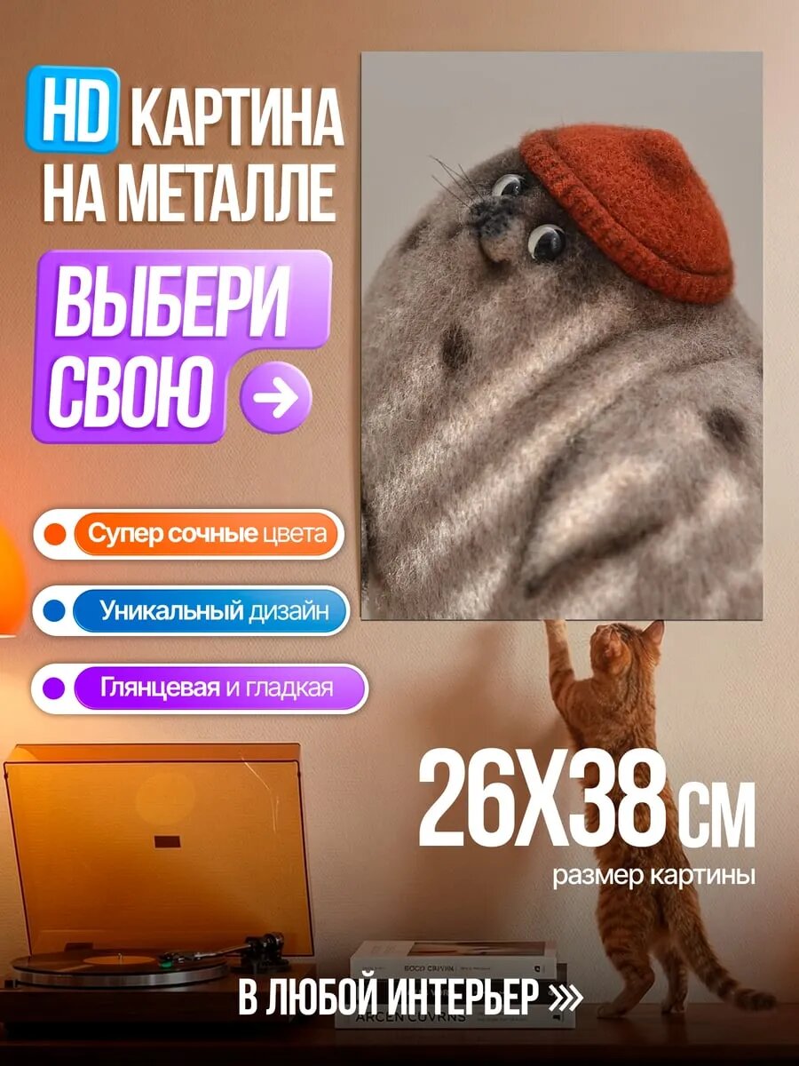 Картина на HD металле Тюлень в кепке