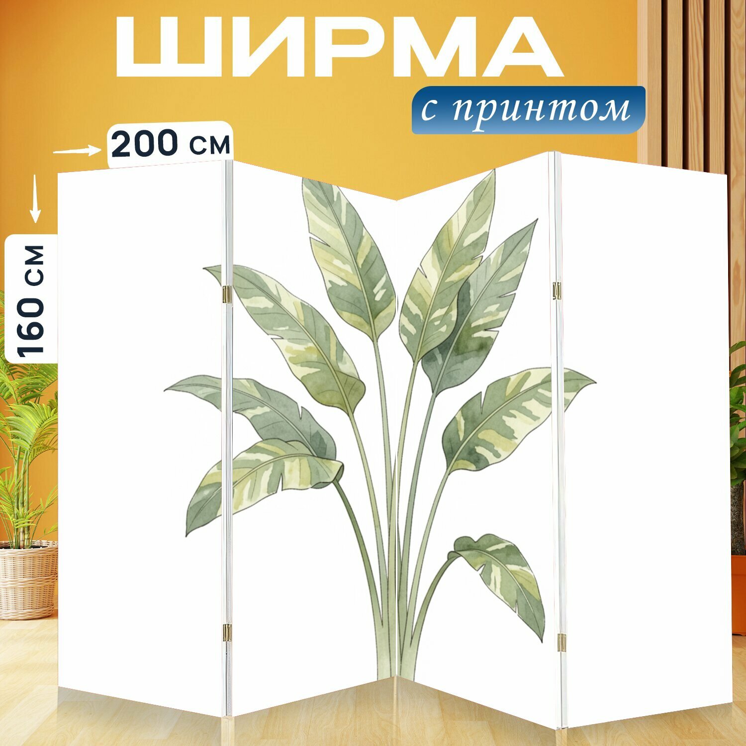 Ширма "Тропическое растение с пёстрыми листьями. Нежная ботаническая иллюстрация с высоким экзотическим." перегородка для зонирования комнаты с принтом 200x160 см. на холсте