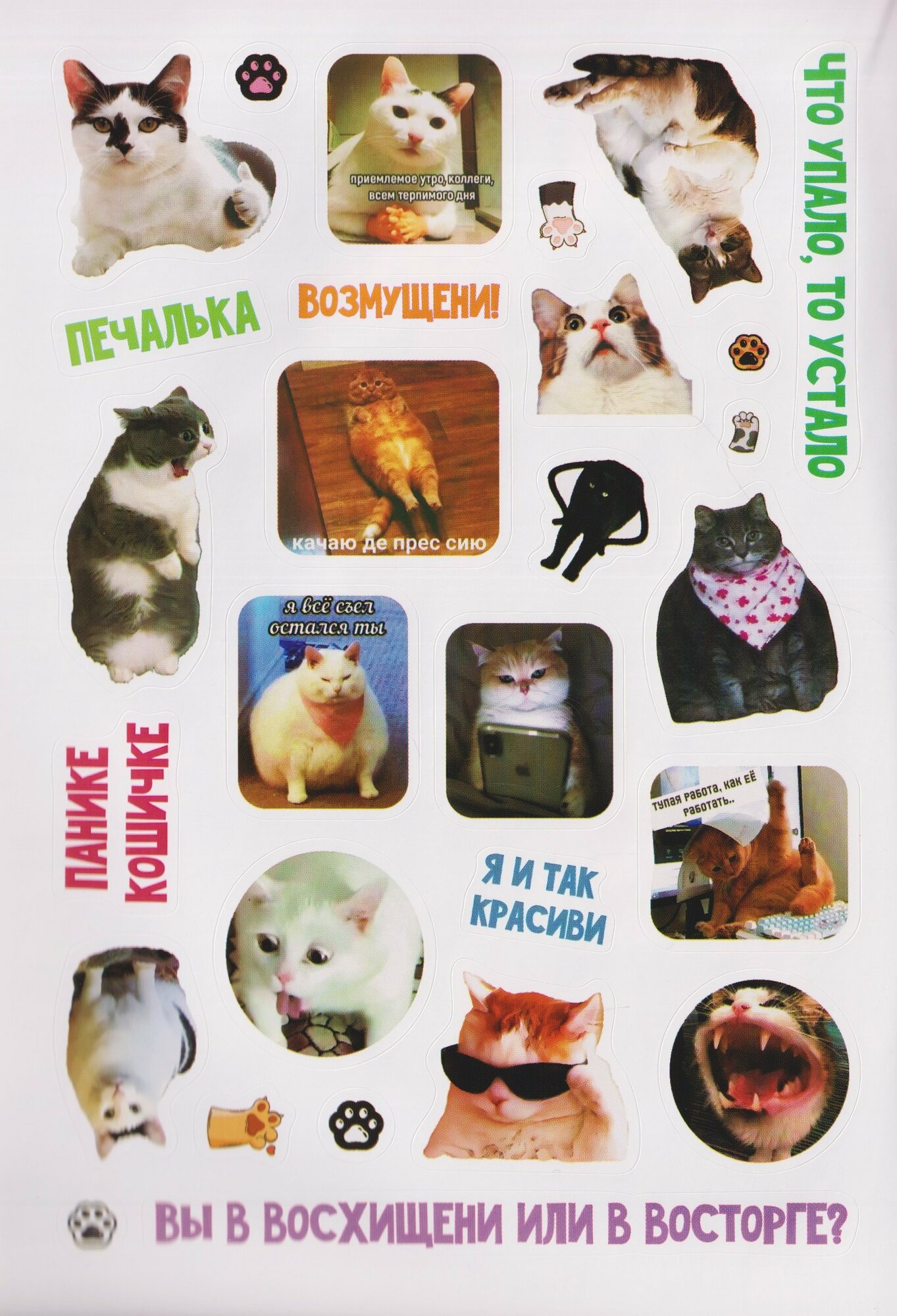 Мяумемы. Котостикеры с ВАУ-эффектом! Наклейки — фото 1