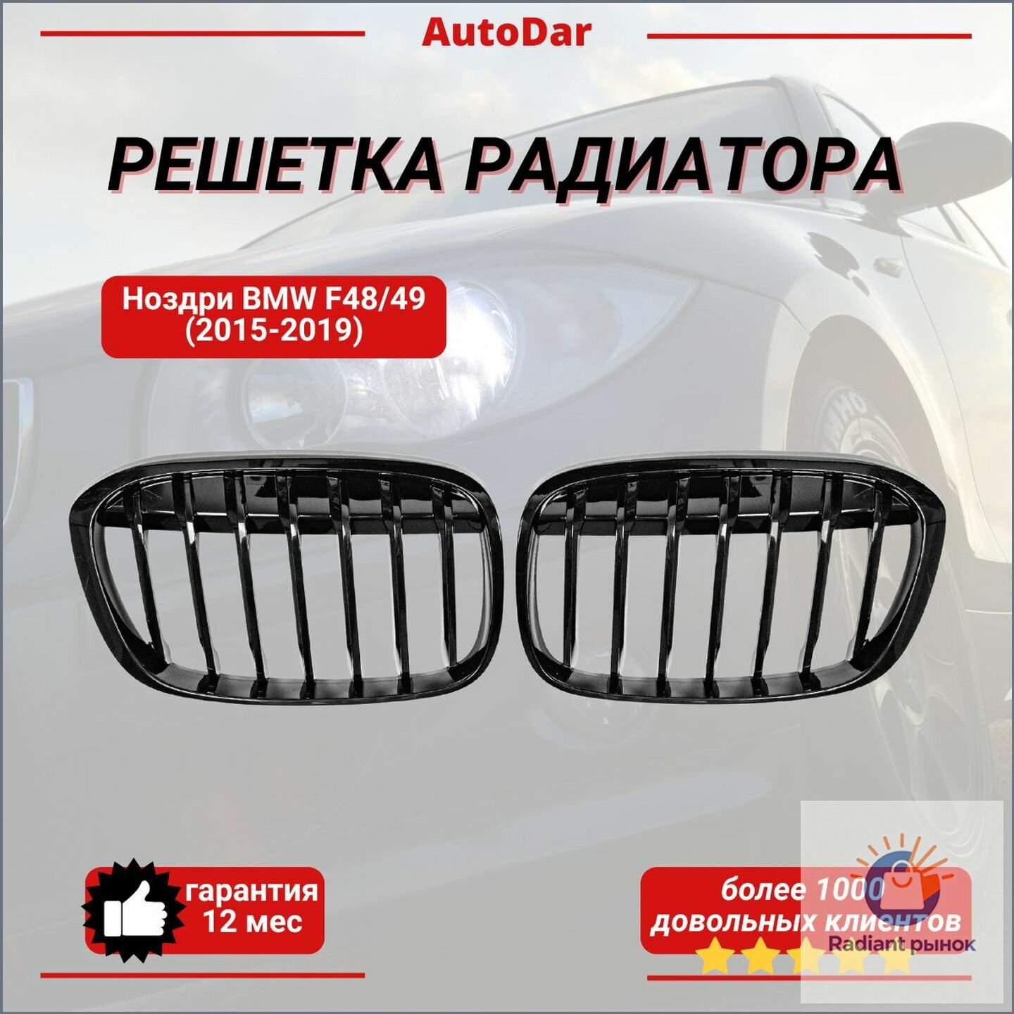 Решетка радиатора (ноздри) BMW X1 F48/F49 (2015-2019) комплект 2шт