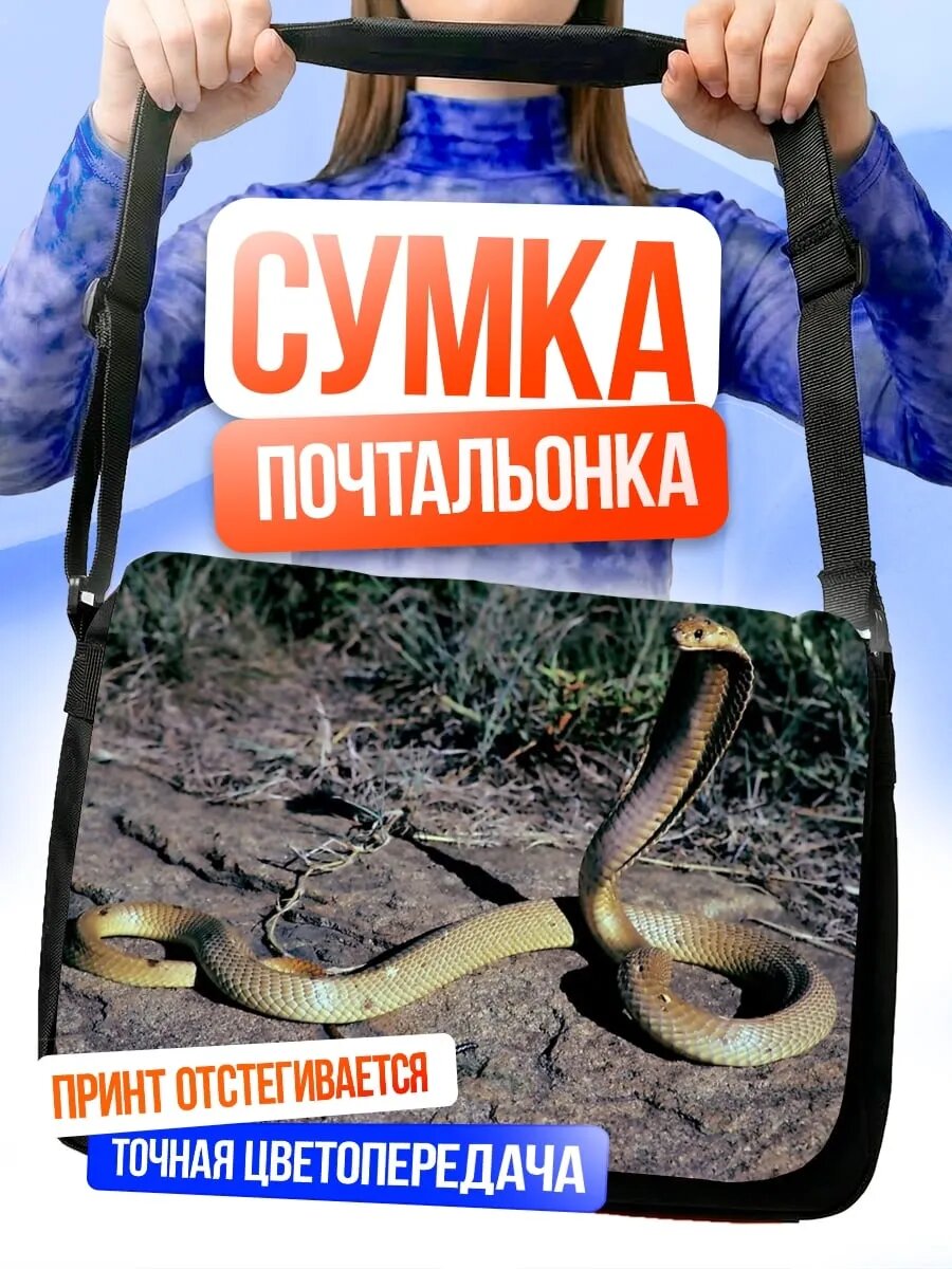 Сумка