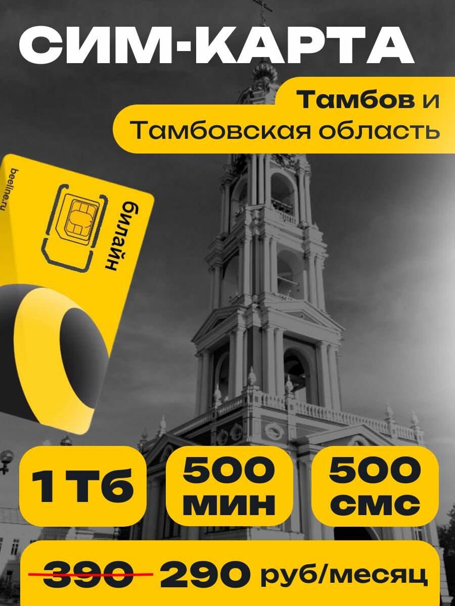 Сим-карта Билайн тариф Эксклюзивный Тамбовская область 1024 Гб + 500 минут за 290 руб.