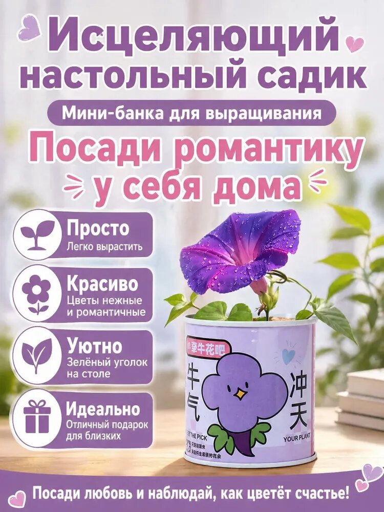 Кассета для рассады