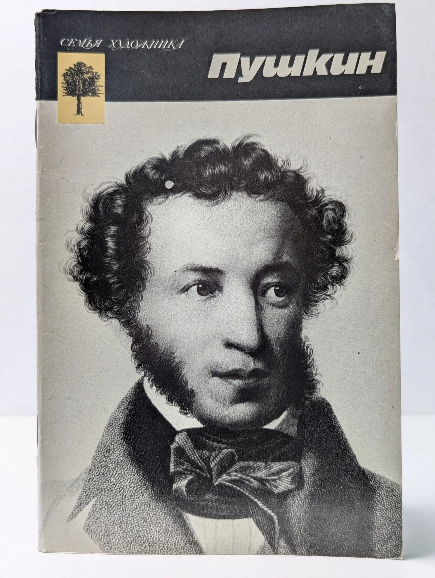 Семья художника. Пушкин. Альбом Минина Ангелина Ивановна (сост.) 1990