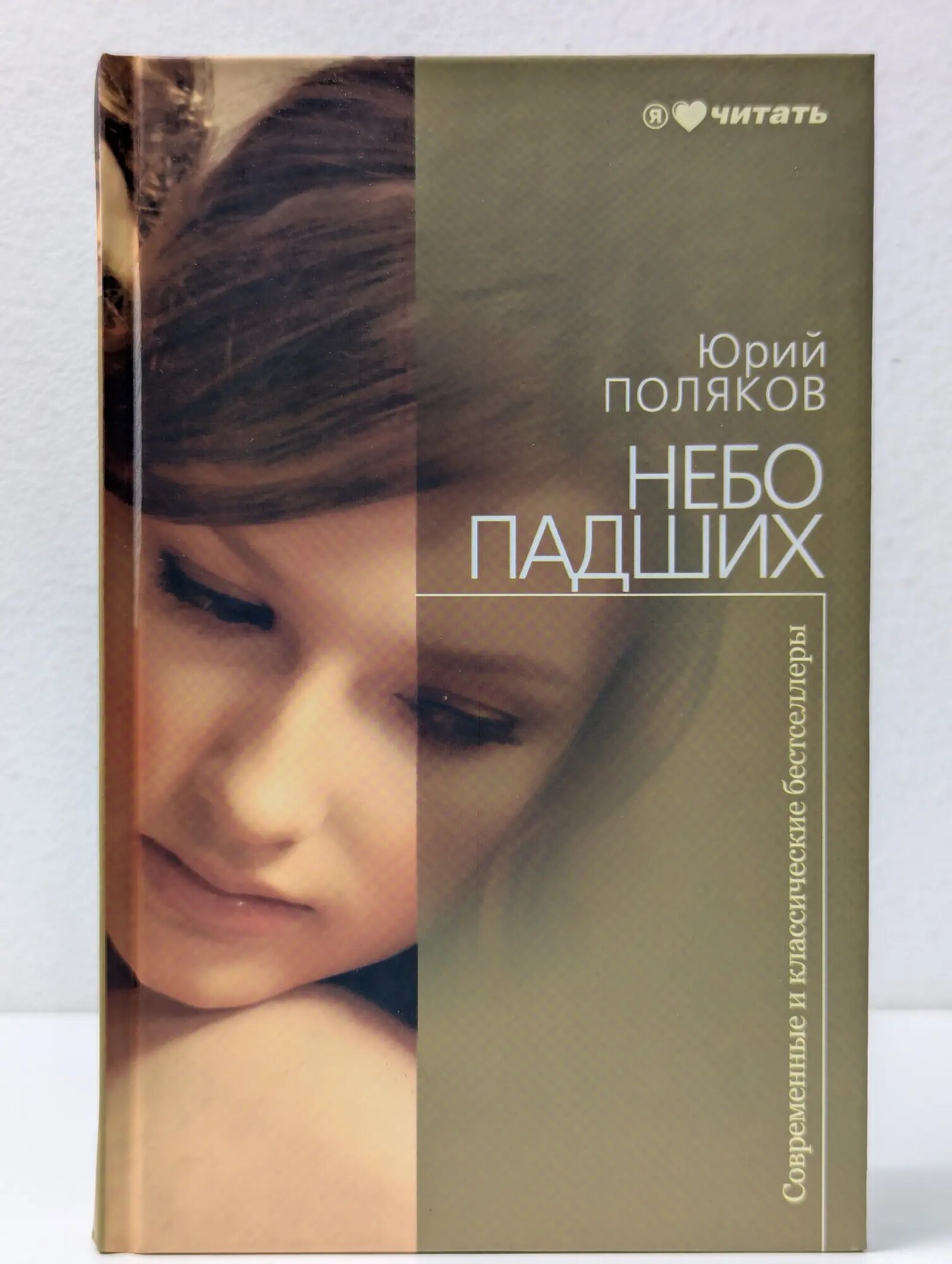 Современные и классические бестселлеры. Небо падших Поляков Юрий Михайлович 2010