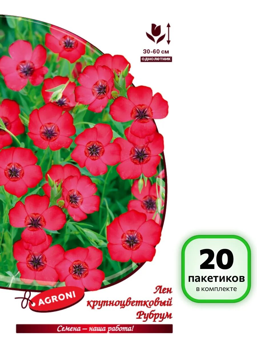 (20 шт.) - Семена Лен крупноцветковый Рубрум (0,1г)