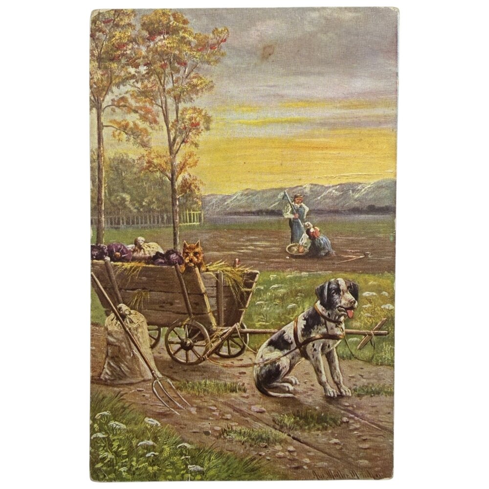 Почтовая открытка "Помощники на сборе урожая" 1900-1917 гг. Германская Империя