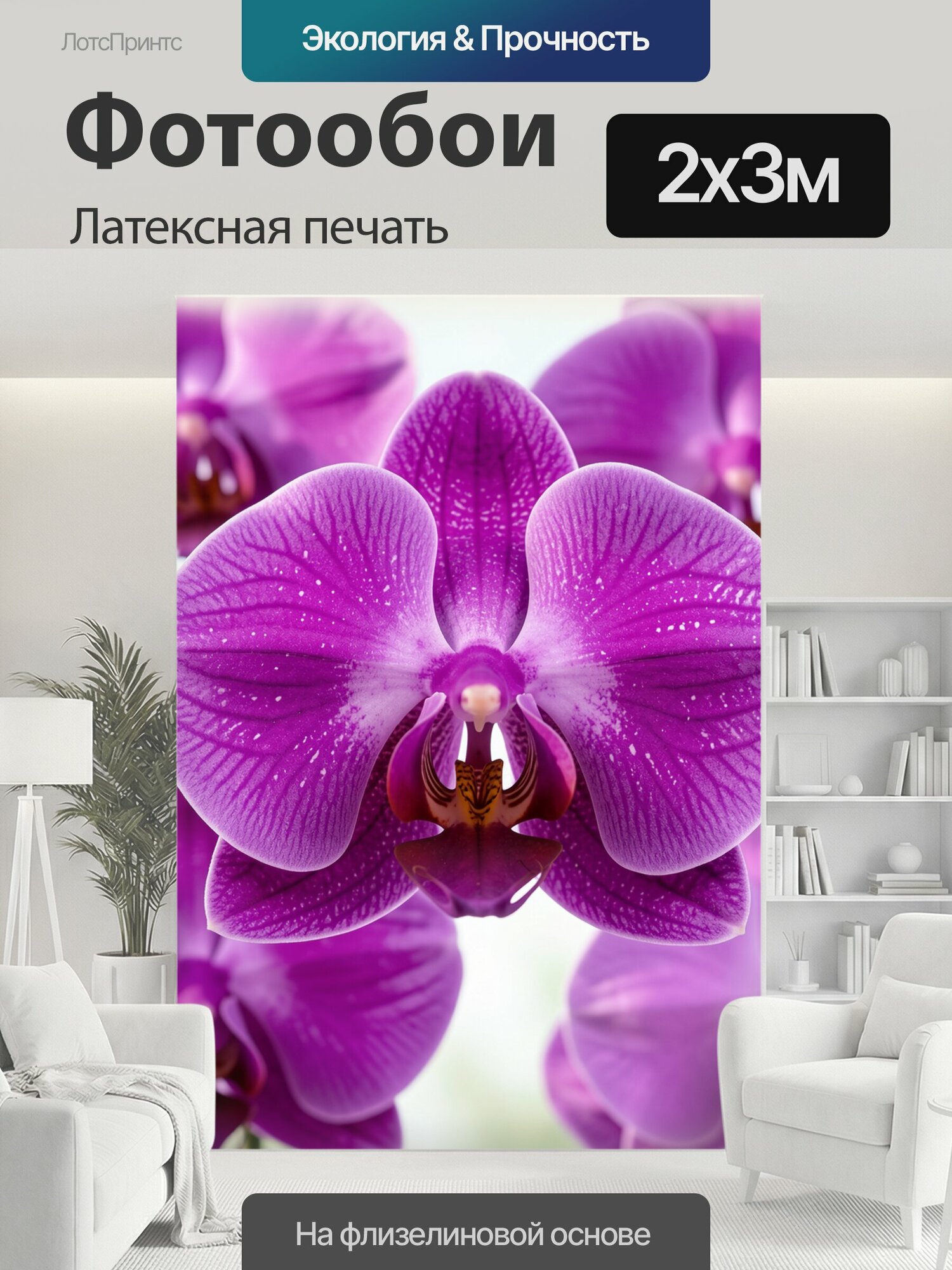 Фотообои моющиеся ударопрочные "Пурпурные орхидеи крупным планом. Яркие тропические цветы в фиолетово-розовой гамме, макро с нежными лепестками и." 200x300 см. латексная печать