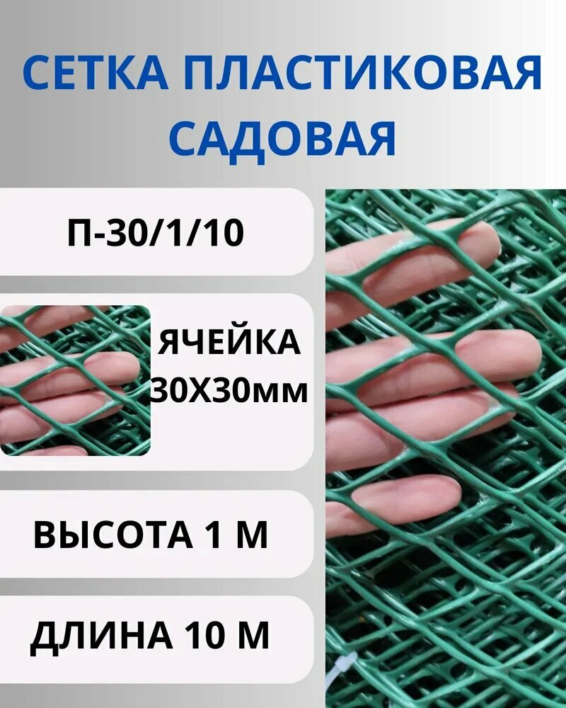Сетка пластиковая для палисадника яч.30х30мм 1х10м