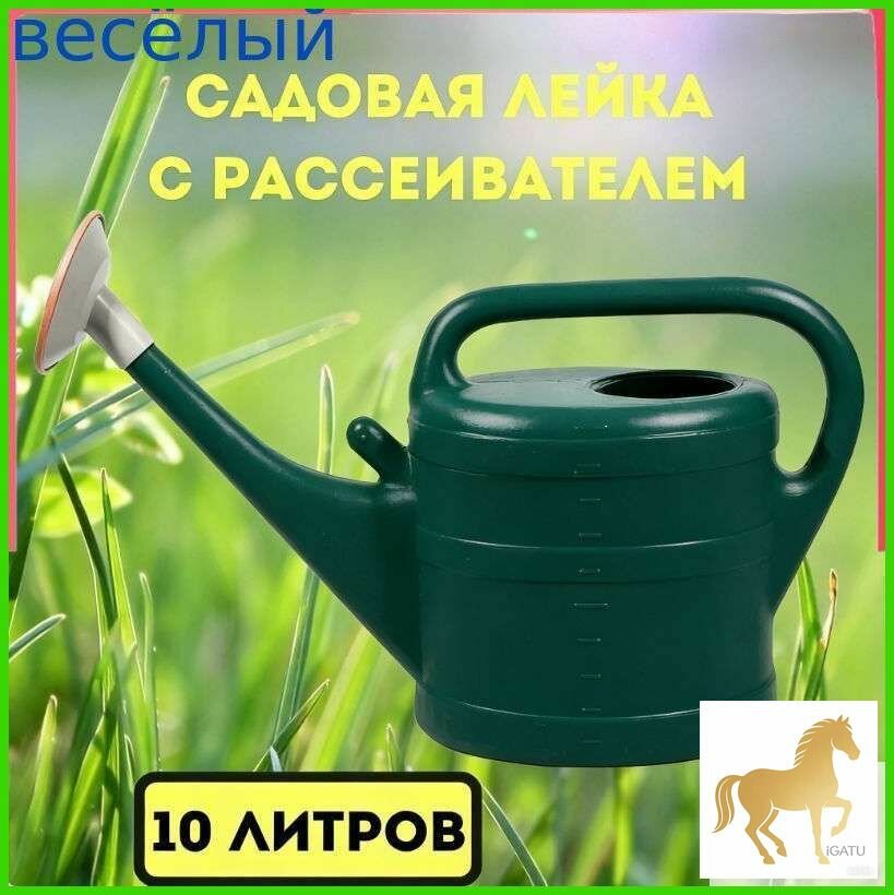 Лейка, 10 л 1 шт