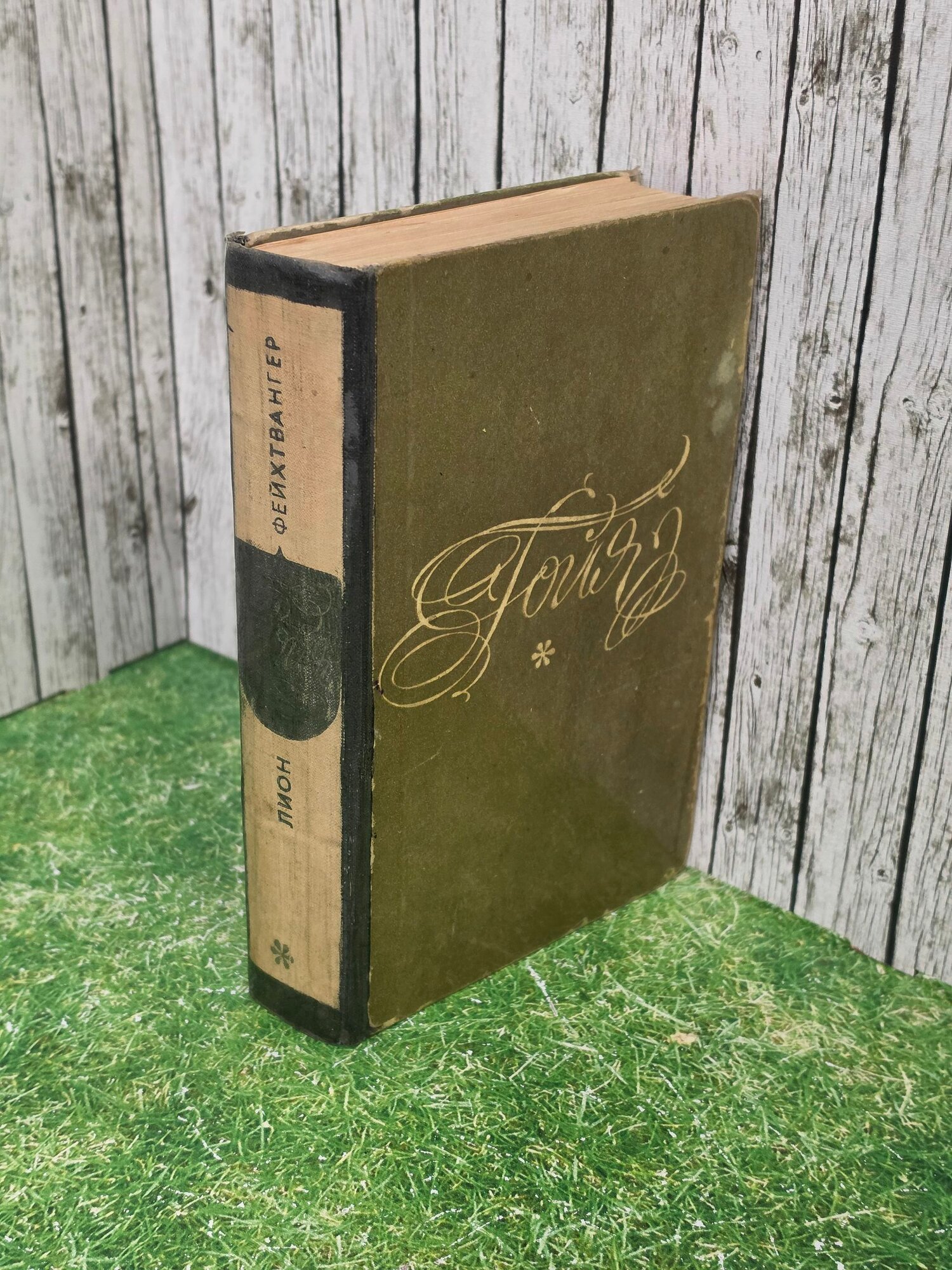 Книга " Гойя, или Тяжкий путь познания "