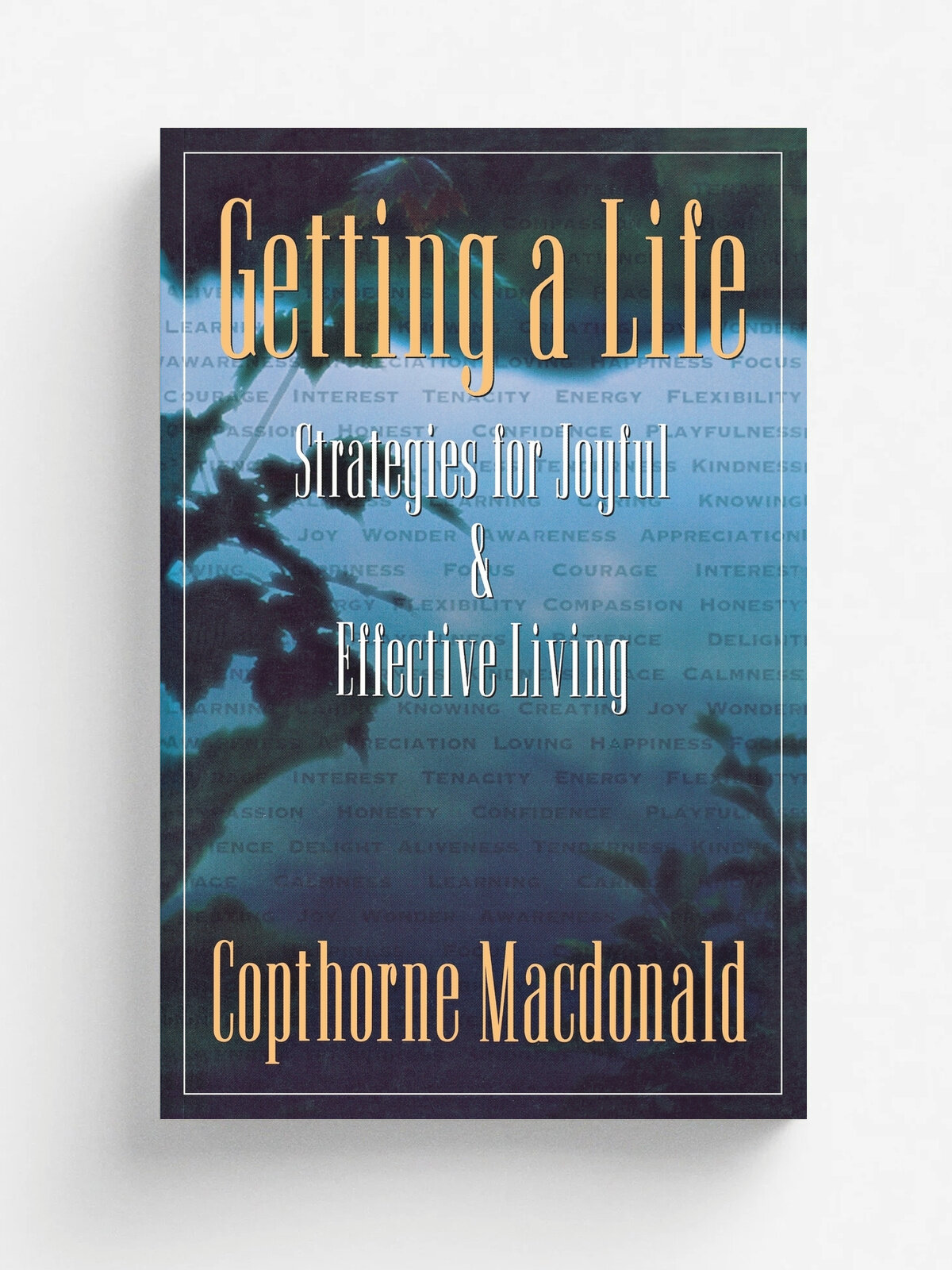 Getting A Life. Strategies For Joyful & Effective Living