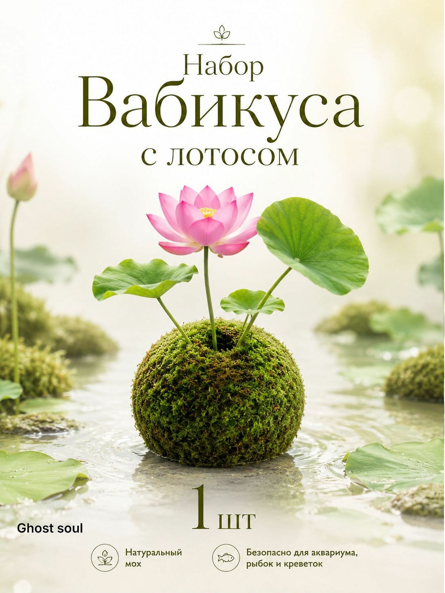 Набор для выращивания лотоса , ваби-куса1 шт и 3 шт семена лотоса