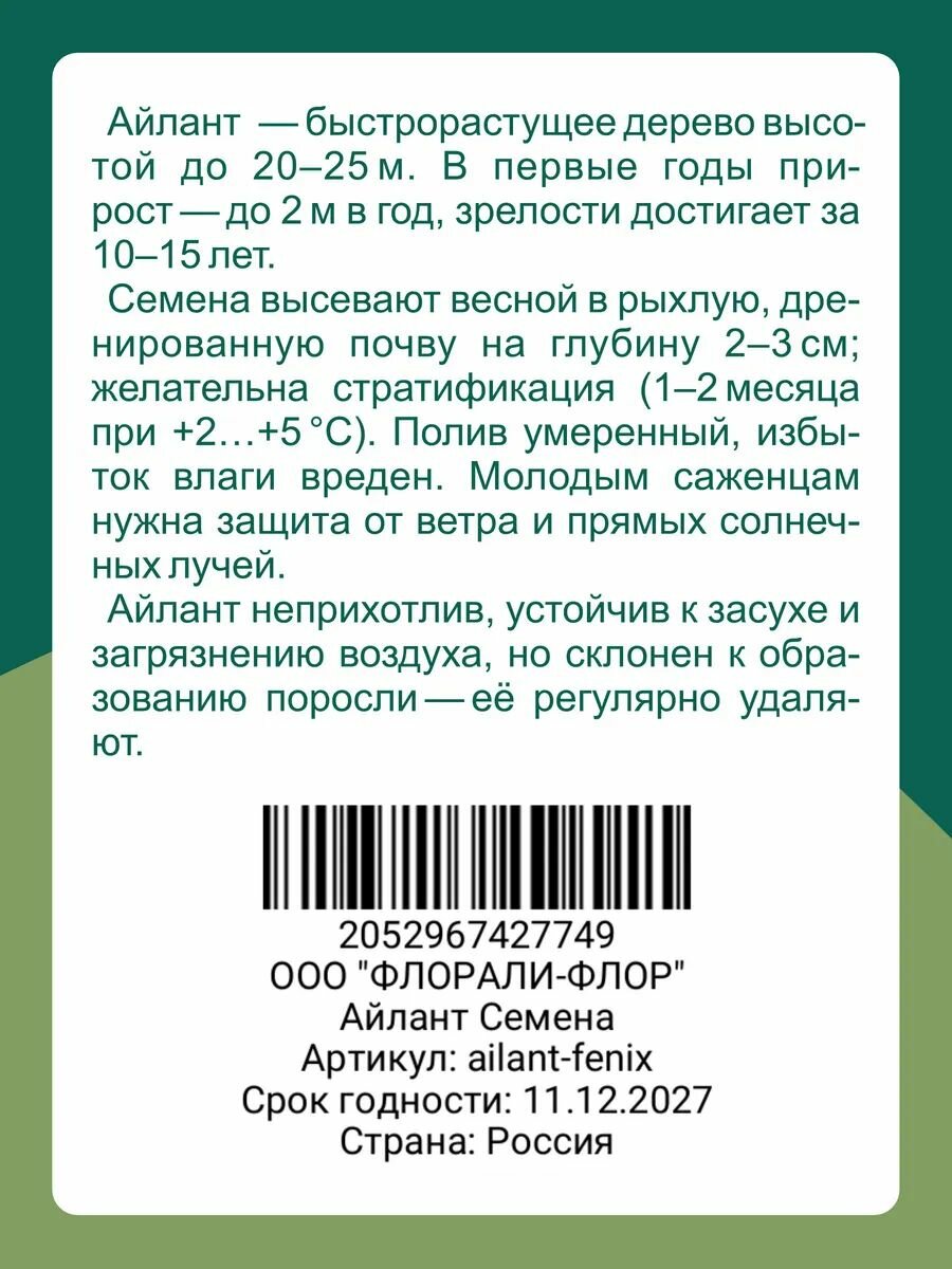 Айлант Семена — фото 1
