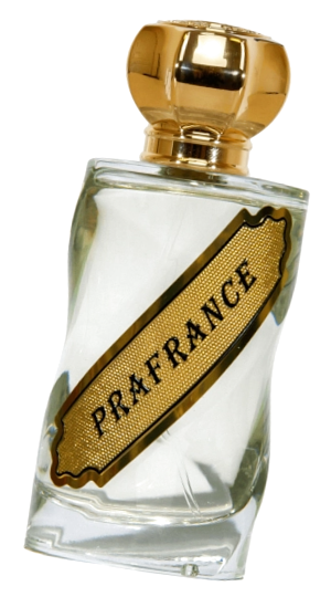 Аромат 12 Parfumeurs Francais Prafrance 50 мл унисекс - 12 Парфюмеров Франции Прафранс духи