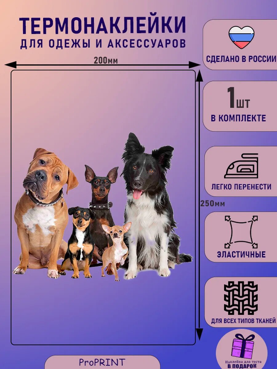 Термонаклейка на одежду