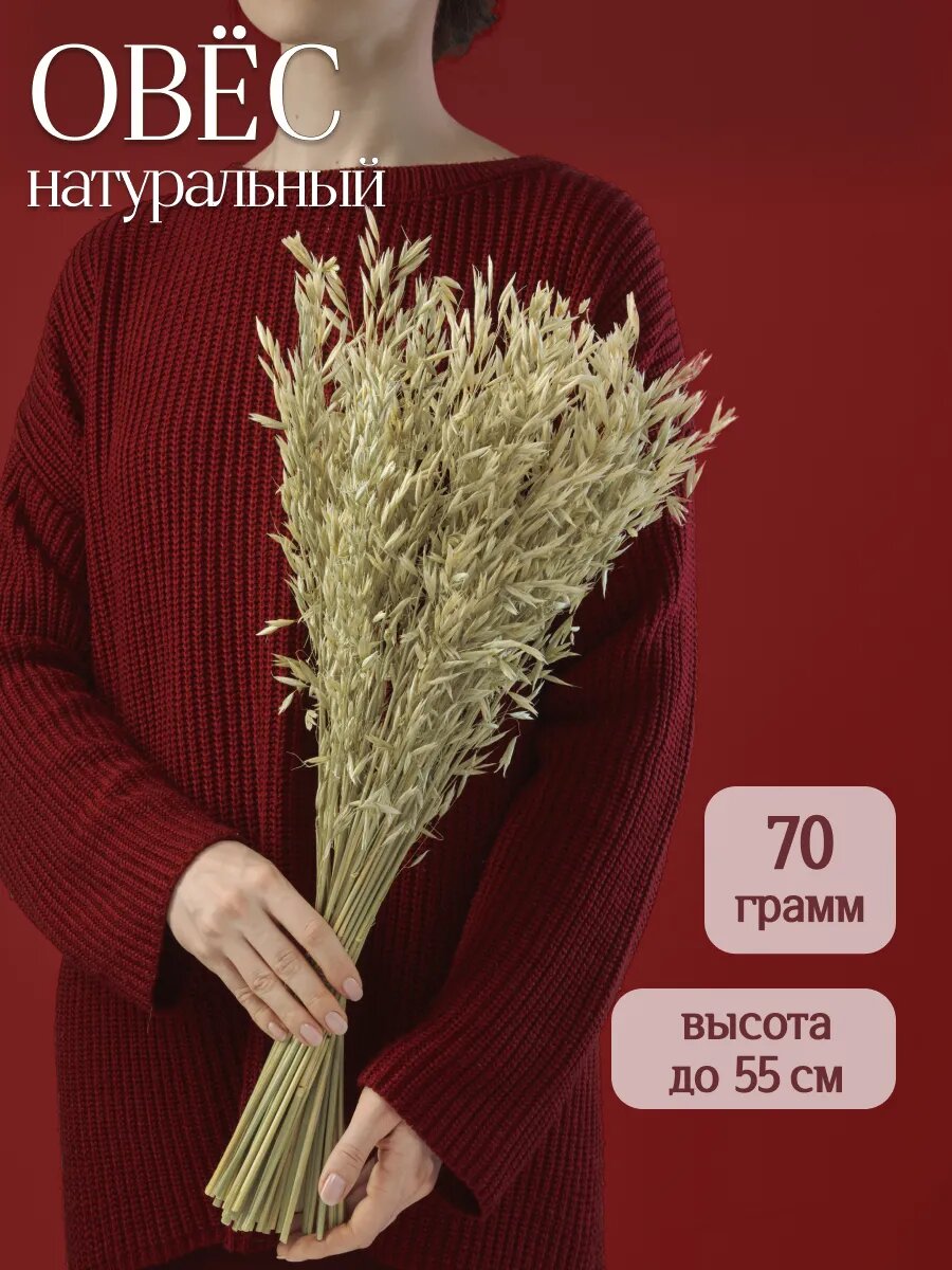 Сухоцветы овёс для декора в вазу