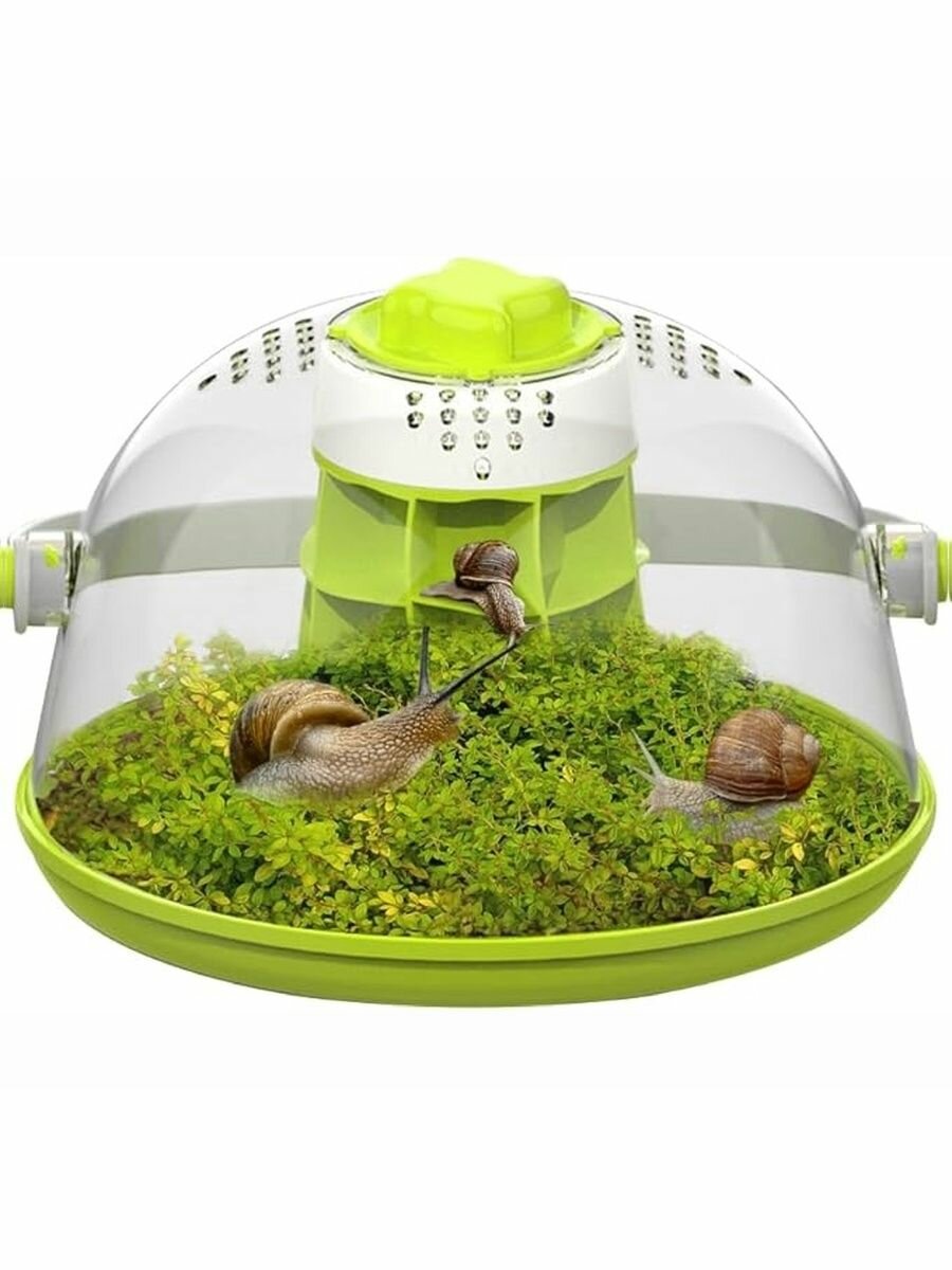 Террариум для улиток и пауков с вентиляцией, прозрачный контейнер для содержания