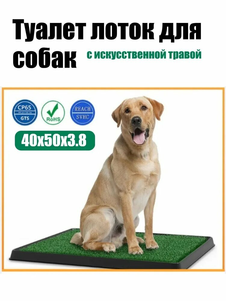 Туалет лоток для собак с искусственной травой