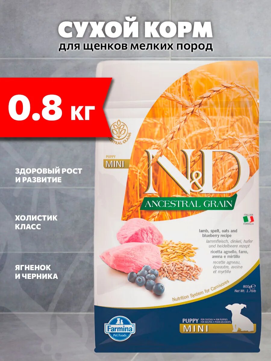 Корм сухой Farmina Dog N&D Ancestral Grain Puppy Mini Lamb & Blueberry низкозерновой для щенков мелких пород, ягненок, черника, 0,8 кг