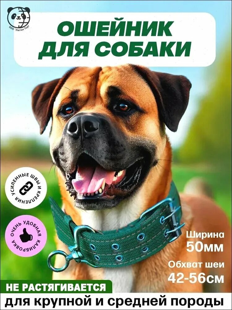 Ошейник широкий для собак крупных пород зеленый усиленный