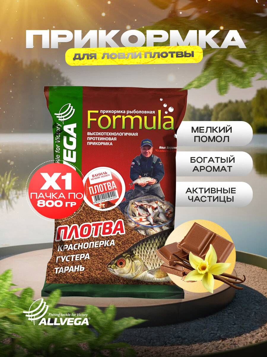 Прикормка для рыбалки ALLVEGA Formula для плотвы 1 пакет 0,8кг