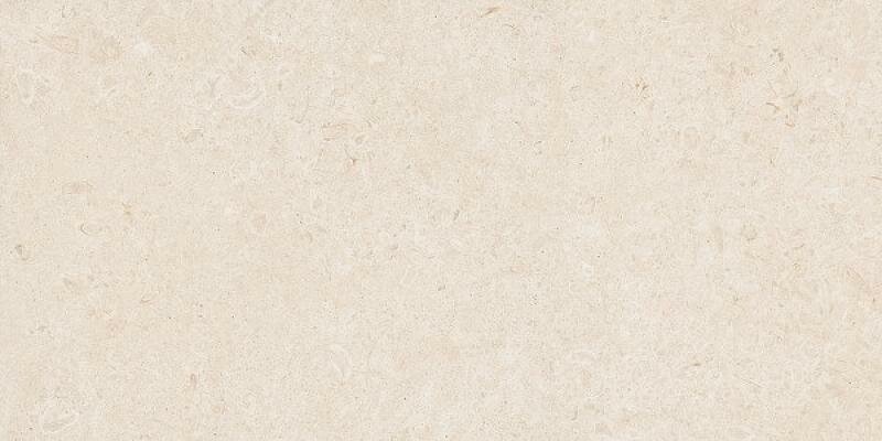 Керамогранит Marazzi Ragno Eterna Blanco rett. R8JK 60х120 см