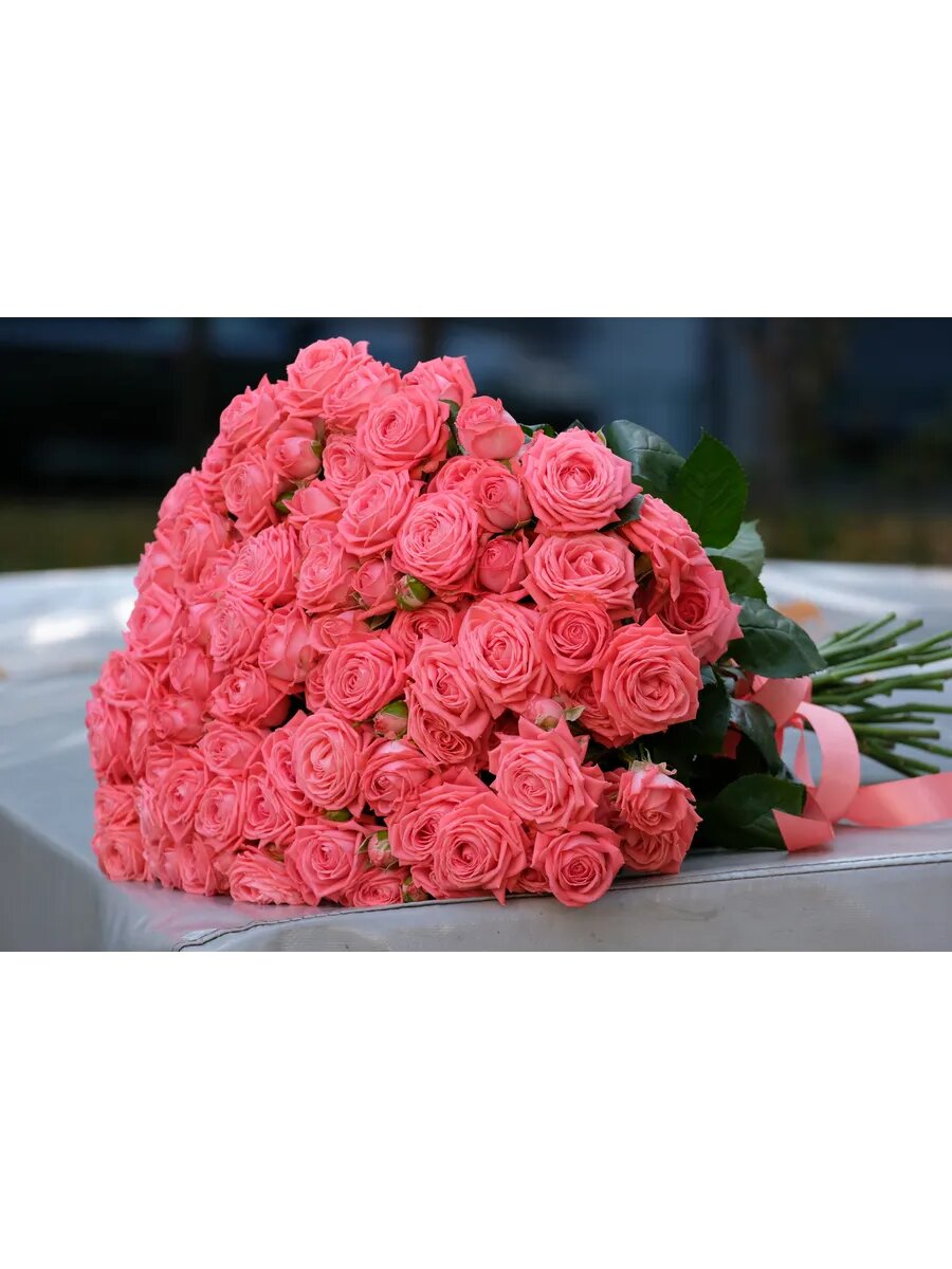 Букет из 25 кустовых роз "Коралловые кустовые розы"