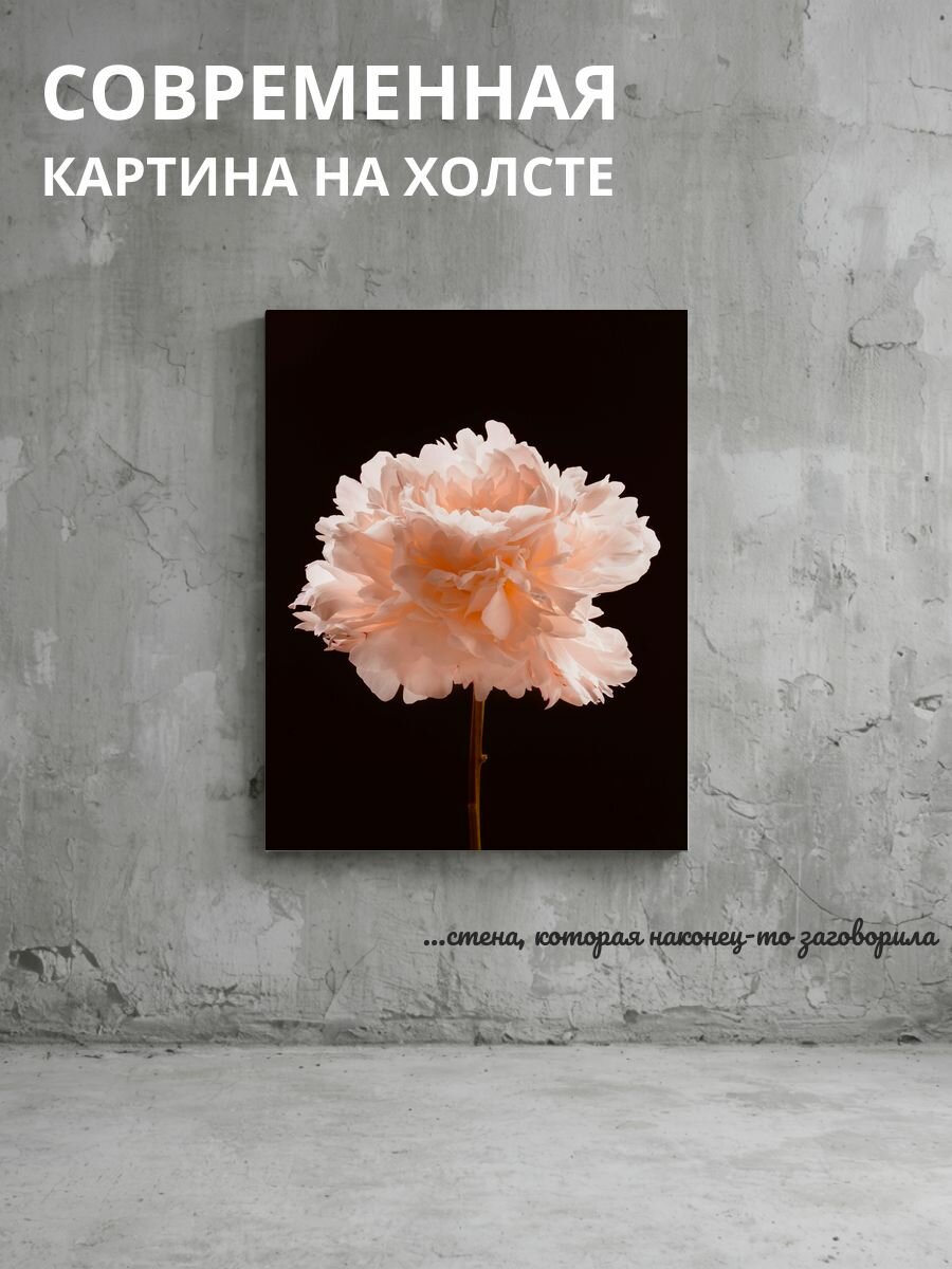 Картина на холсте Цветок 50x70 см
