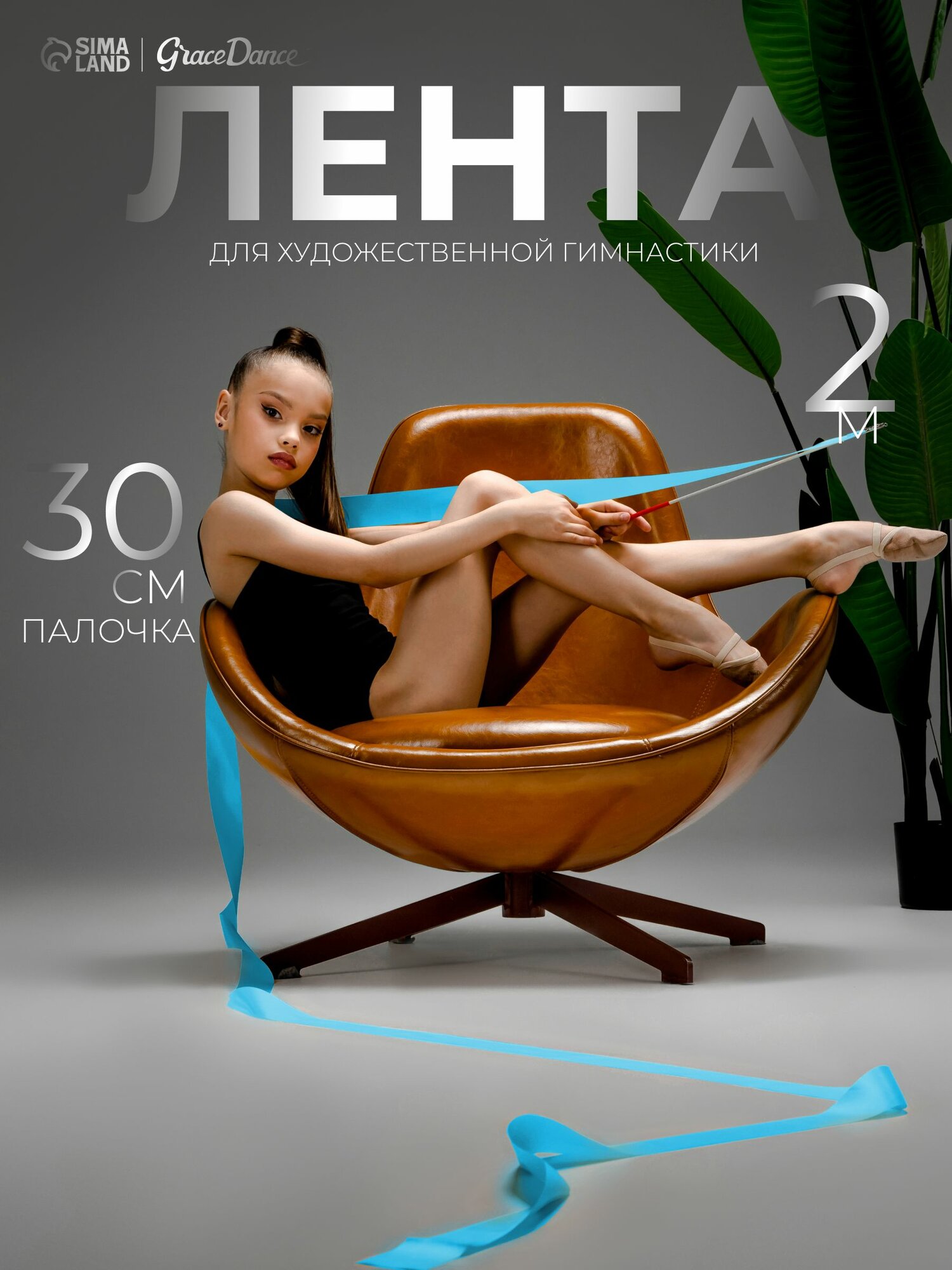 Лента для художественной гимнастики, длина 2 м