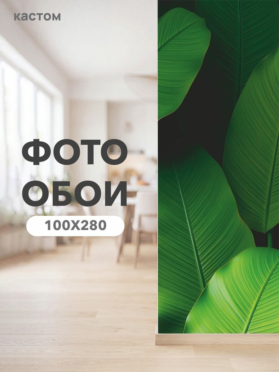 Фотообои на стену флизелиновые 3d Листья 100х270 см
