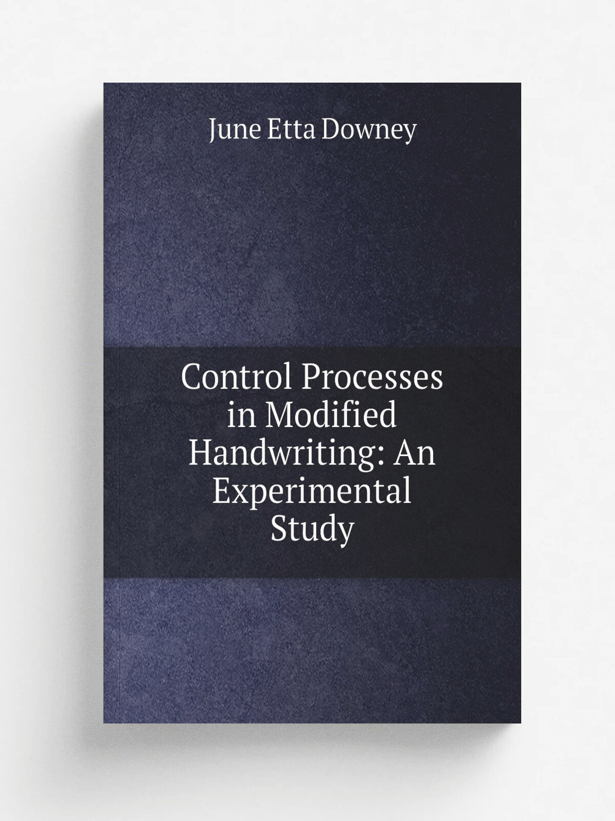 Control Processes in Modified Handwriting: An Experimental Study
