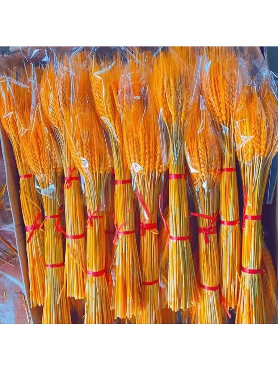 Букет из сухих колосьев (1000 колосьев пшеницы)