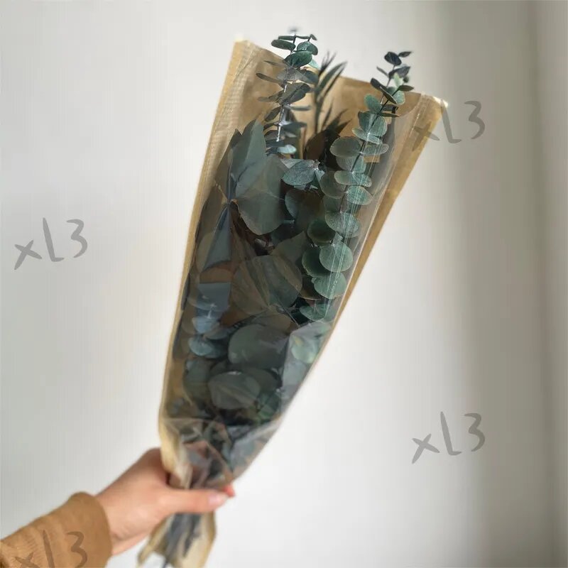 IKEA Сухоцветы Эвкалипт, 45 см, 75 гр, 1 шт