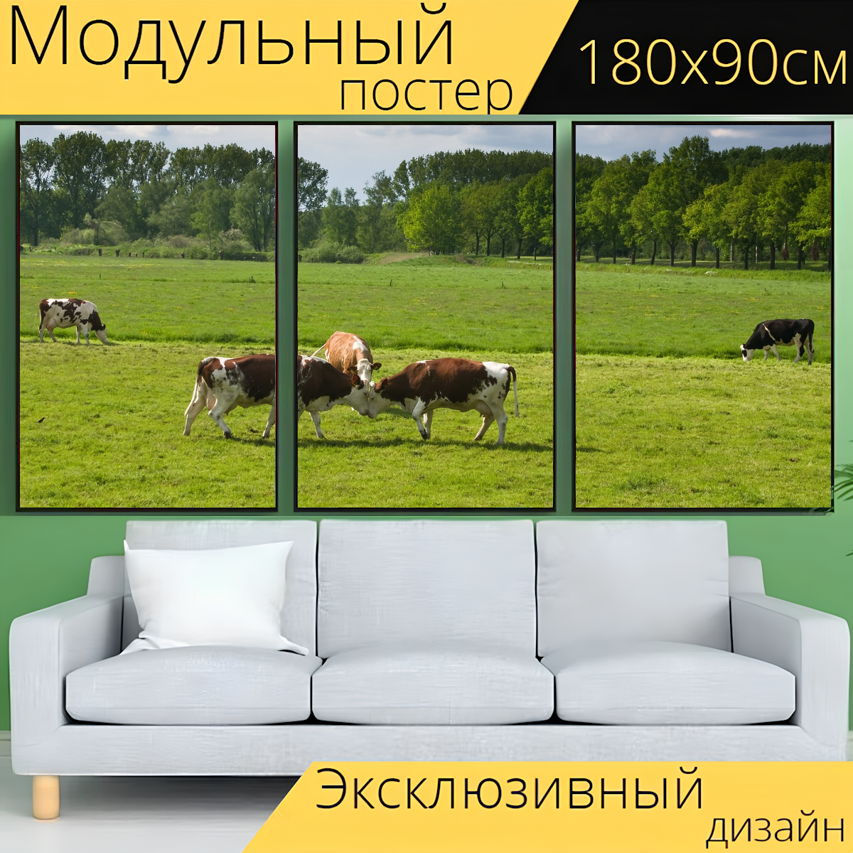Модульный постер "Коровы, конфликт, судья" 180 x 90 см. для интерьера на стену в тубусе