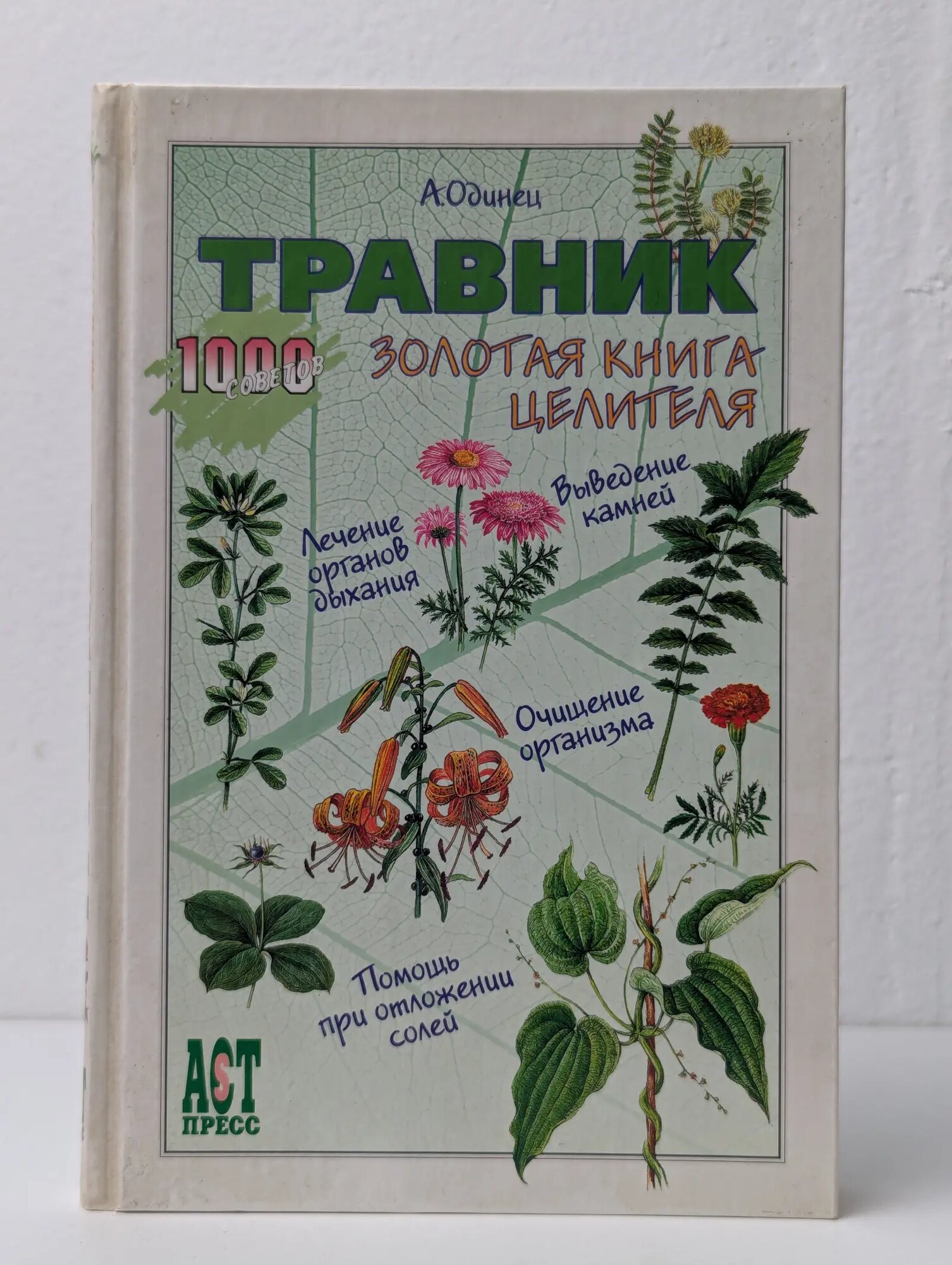 Травник. Золотая книга целителя Одинец Антонина Афанасьевна 2004