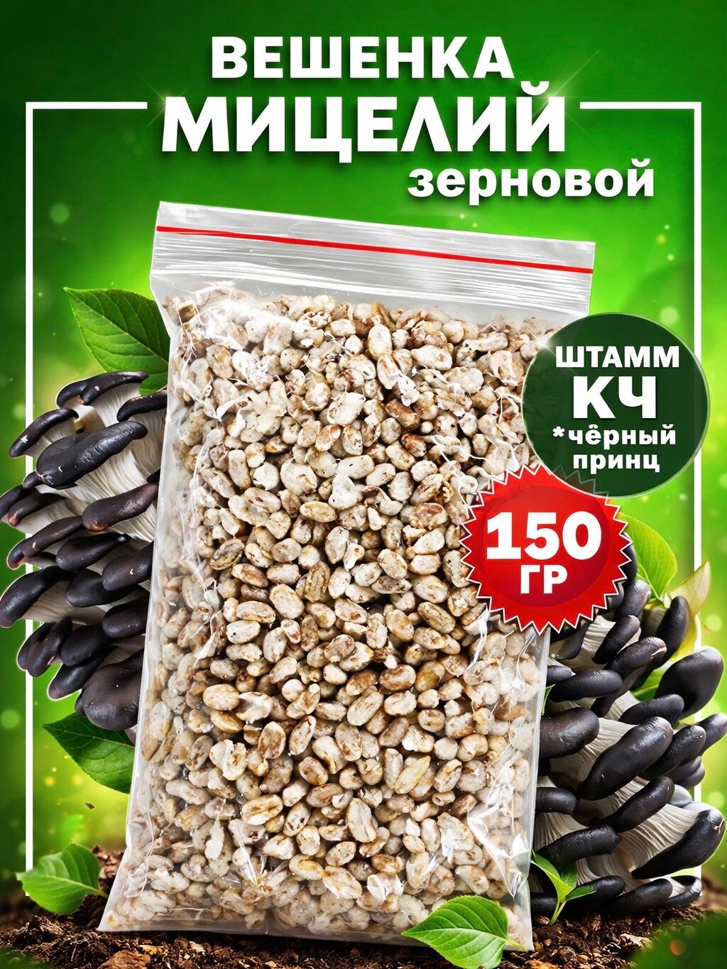 Мицелий вешенки зерновой, семена грибов (штамм КЧ / Китайский чёрный) - 150 гр.