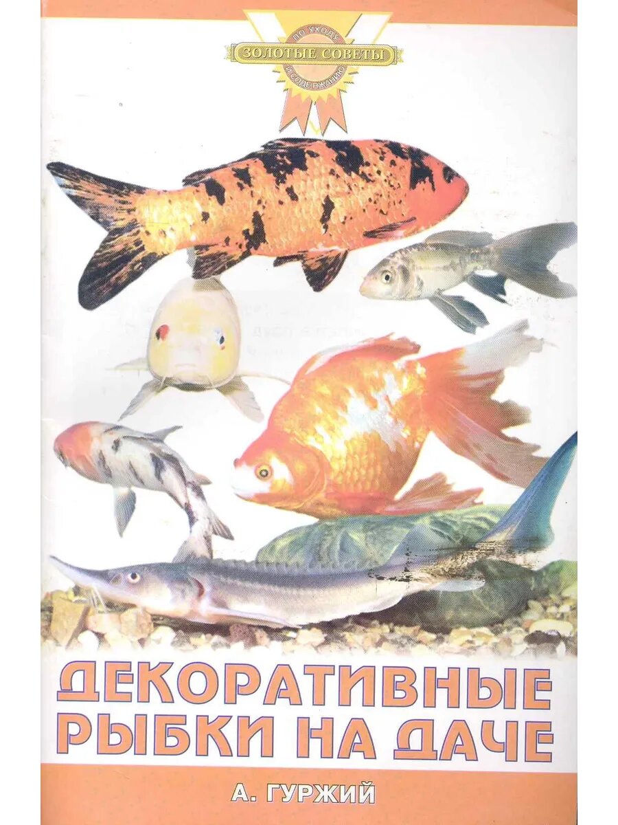 Декоративные рыбки на даче