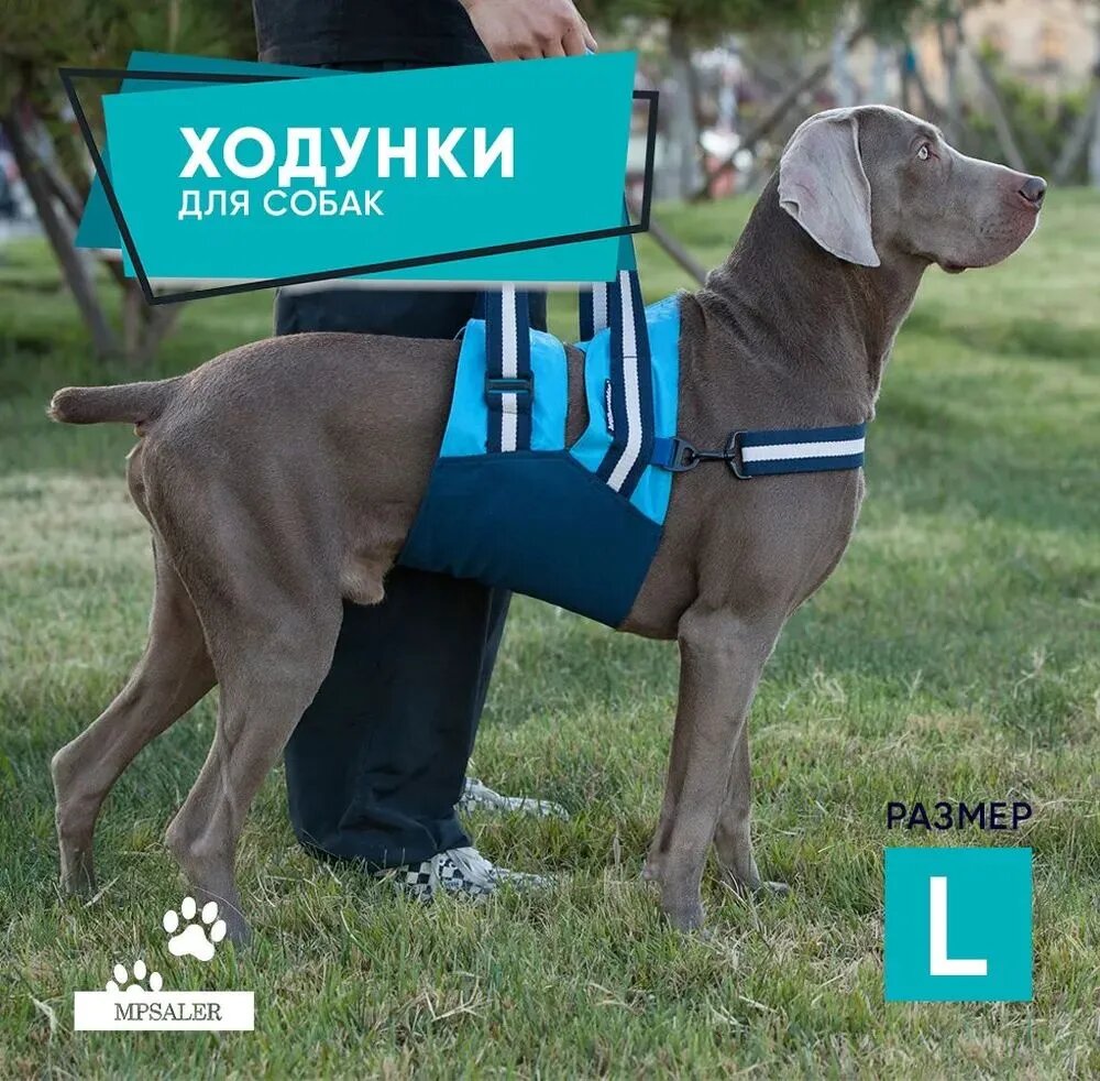 Ходунки для собак L Размер для крупных пород собак поддержка спины и задних лап для реабилитации