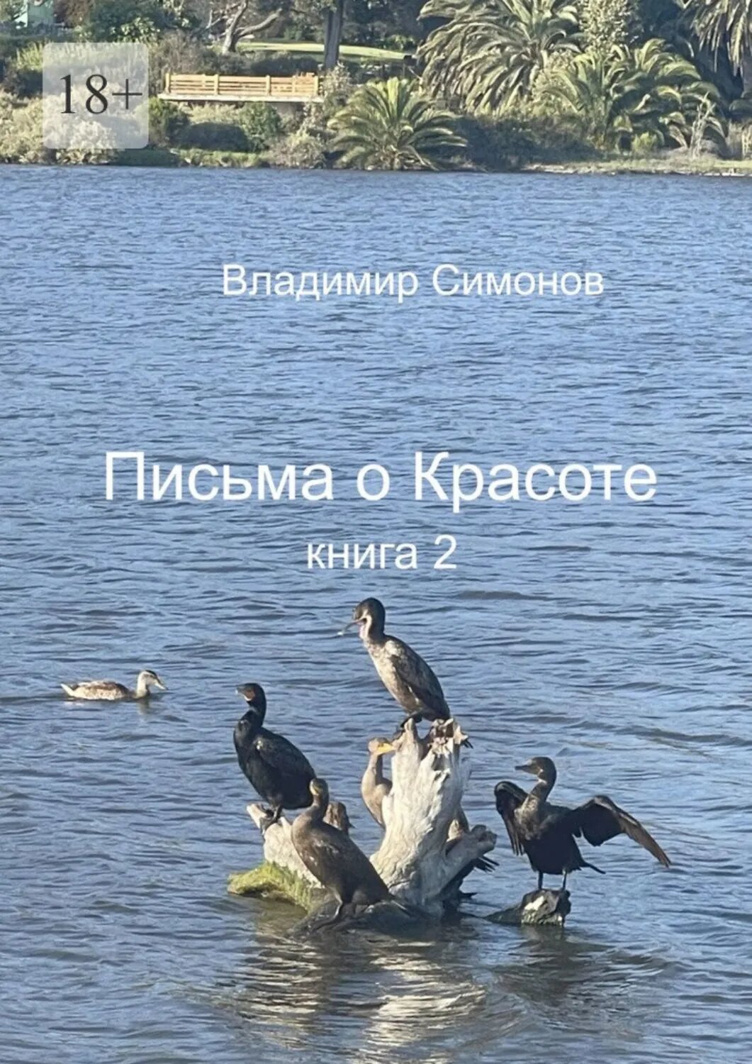 Письма о Красоте. Книга 2 [Цифровая книга]