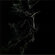JARBOE Illusory (LP)