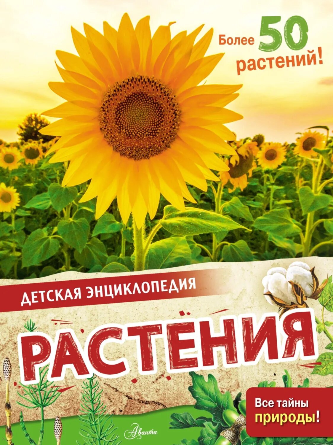 Растения [Цифровая книга]