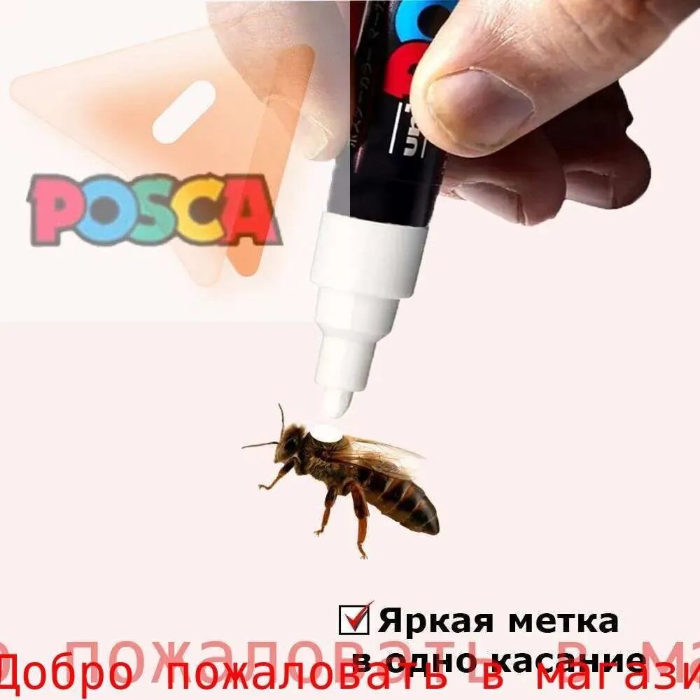 Маркер-White Queen/Posca PC 5M, Япония/толстый кончик для мечения пчелиных маток, белый