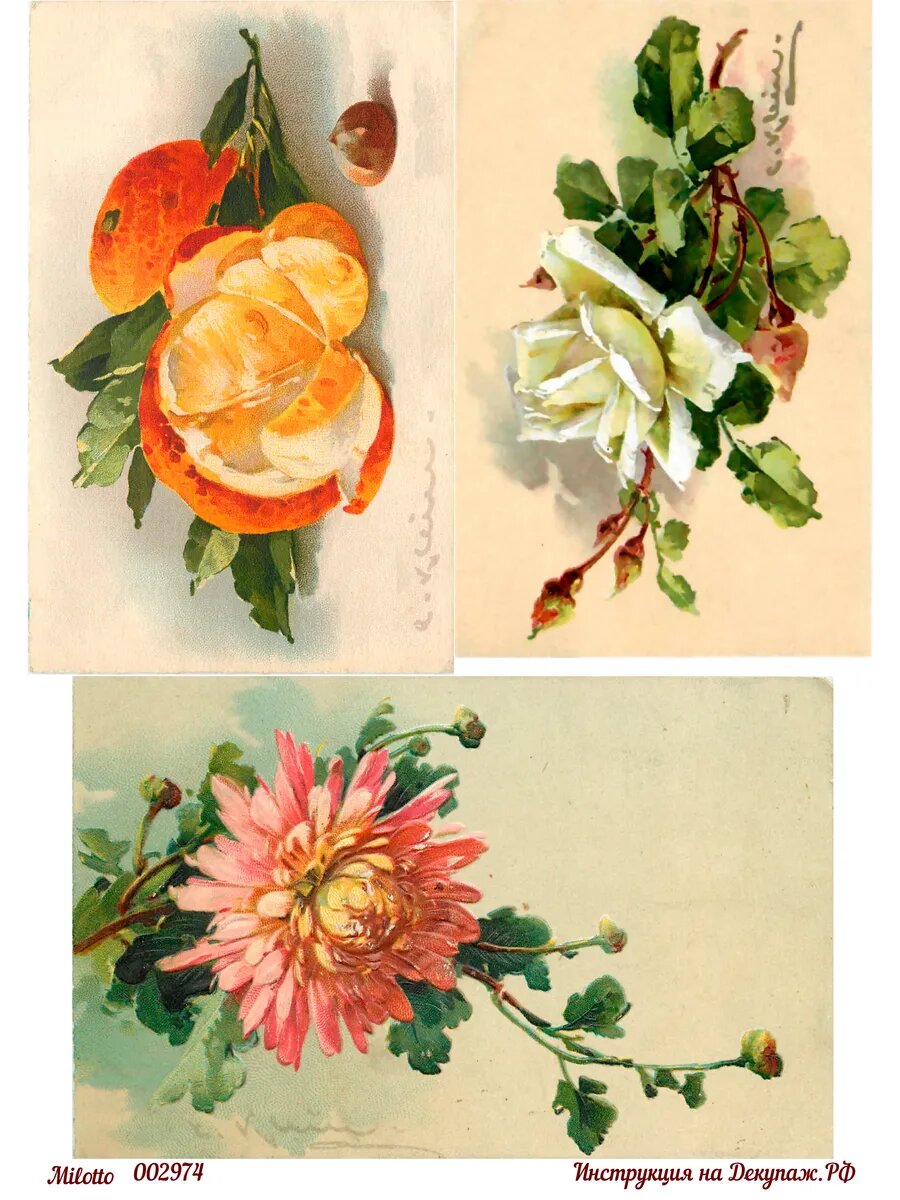Декупажная карта рисовая бумага А4 цветы мандарины розы