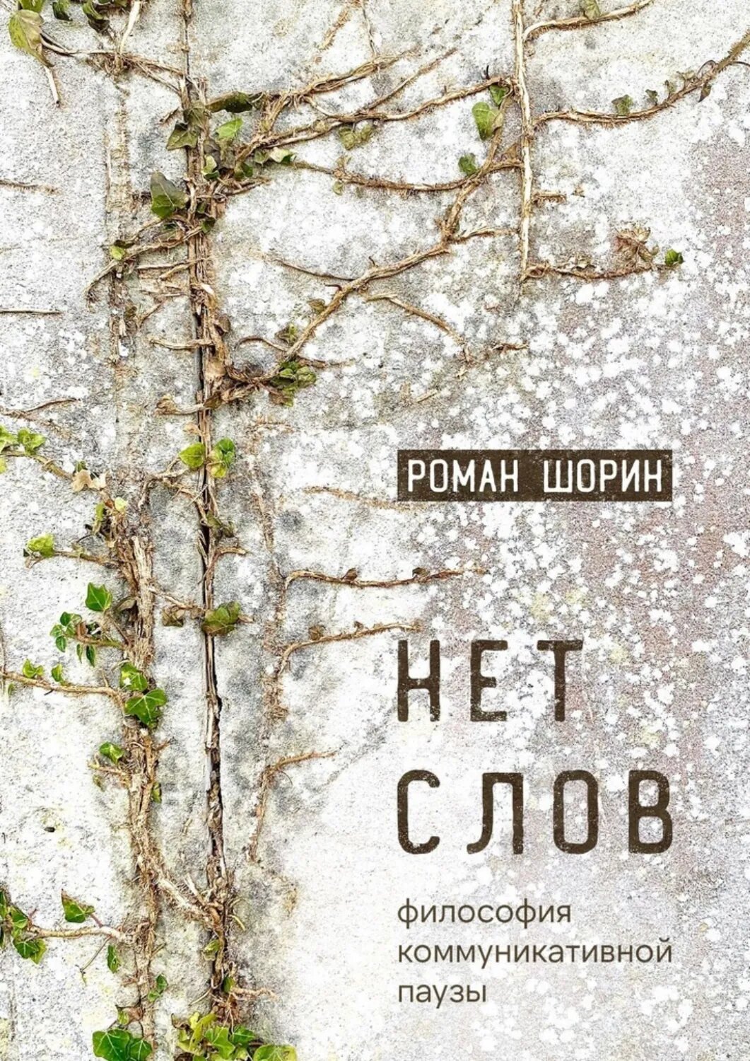 Нет слов. Философия коммуникативной паузы [Цифровая книга]