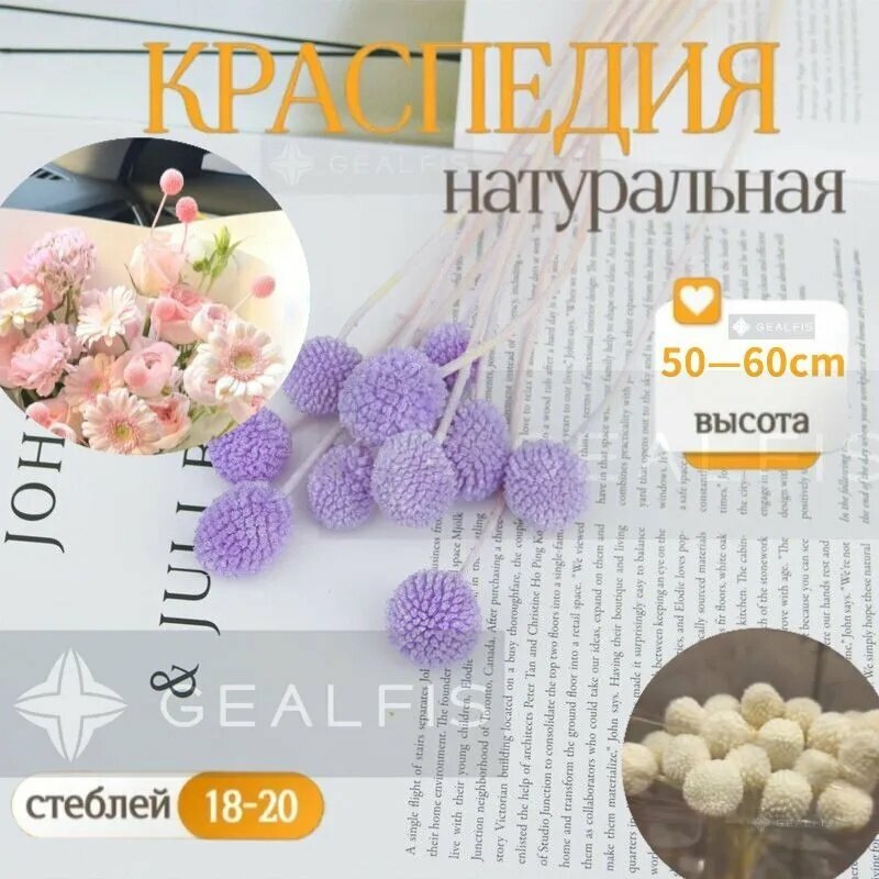 Сухоцветы, 50 см, 100 гр