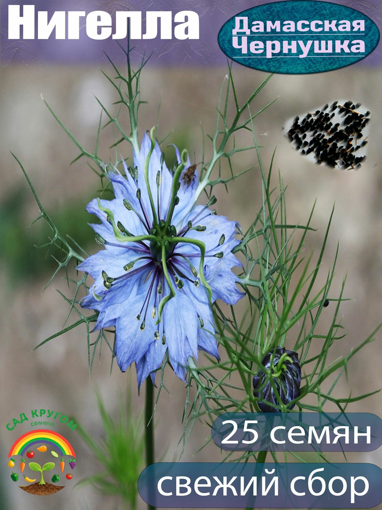 Нигелла Чернушка Дамасская Семена - 25 шт