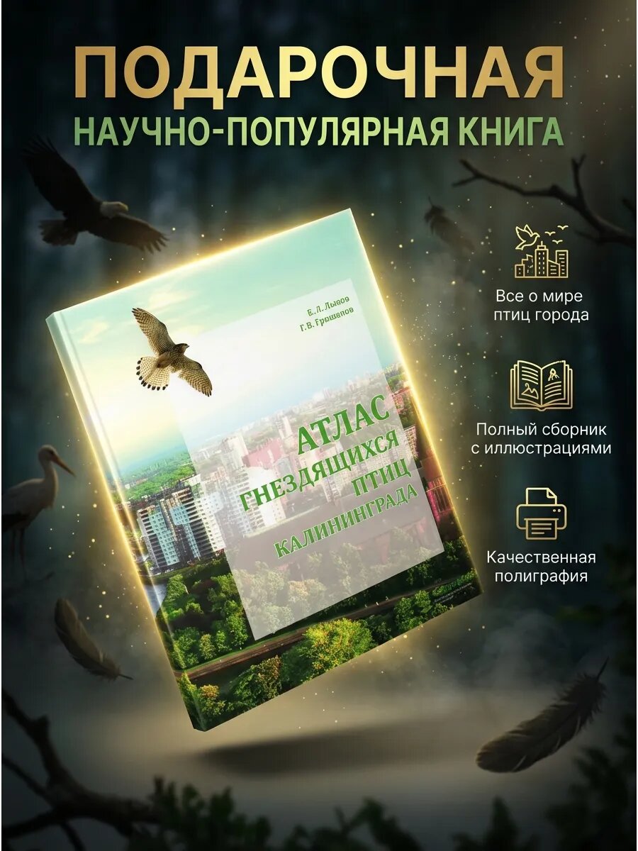 Атлас гнездящихся птиц Калининграда. Книга-подарок