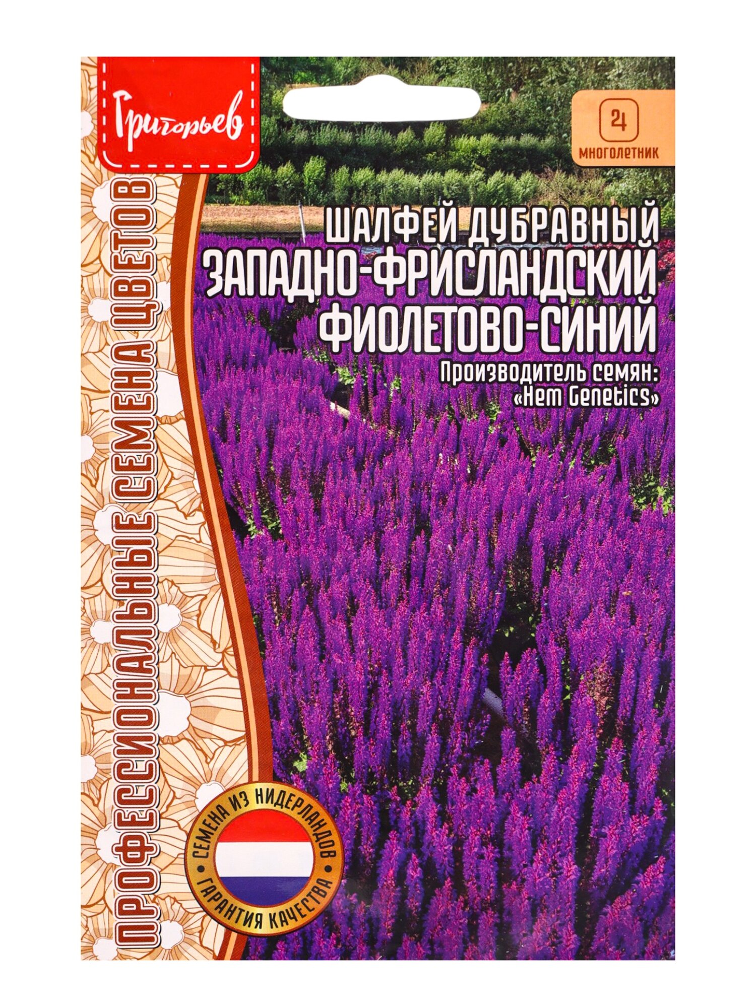 Семена Шалфей Западно-Фрисландский Фиолетово-Синий дубравный (West-Friesland Violet Blue) 20 шт. 12.